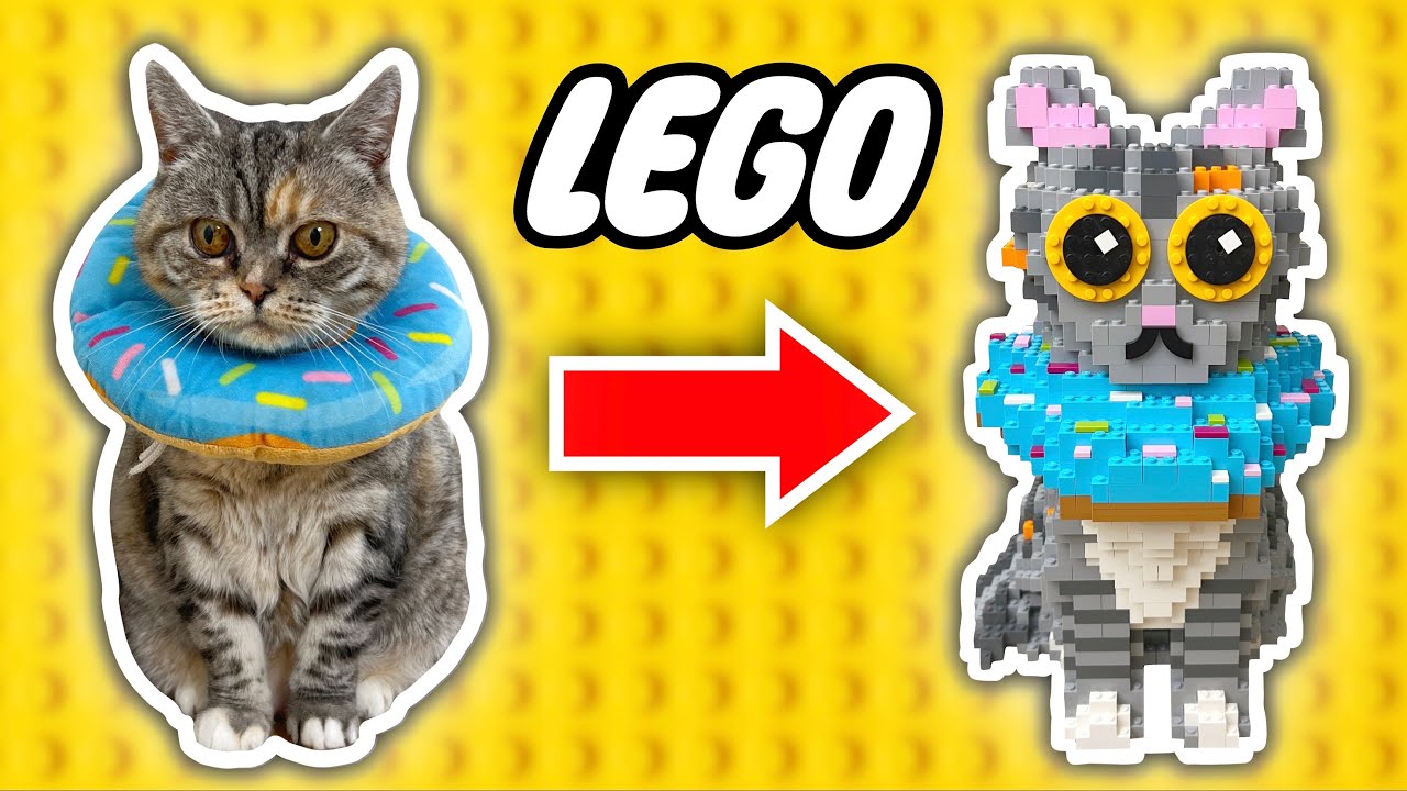 Here is how to turn cat Into LEGO! – Meow Clips